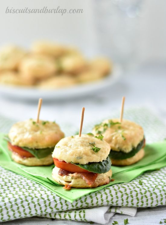 Mini Cheese Biscuits with Herbs