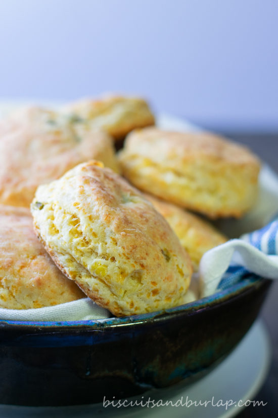 Mexican Style Biscuits Biscuits Burlap mexican-style-biscuits-biscuits-burlap