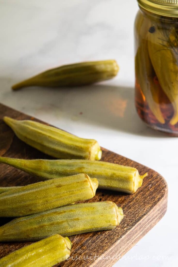 Refrigerator Pickled Okra Recipe