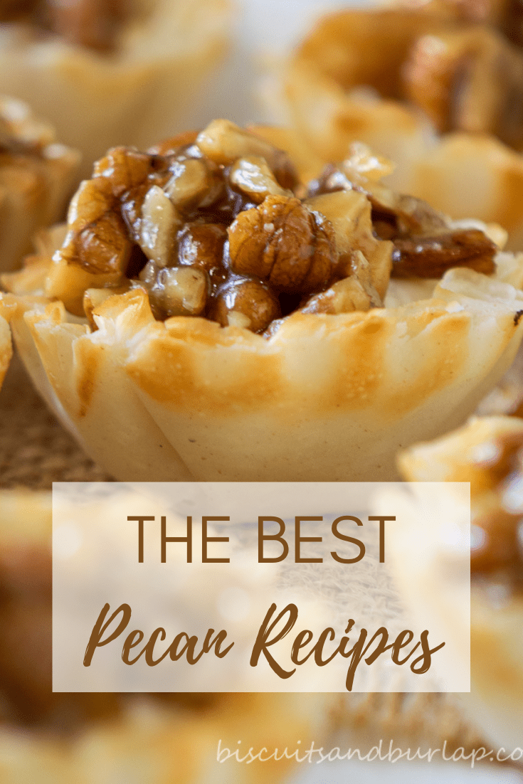 20 Amazing Pecan Recipes - Traditional and Updated