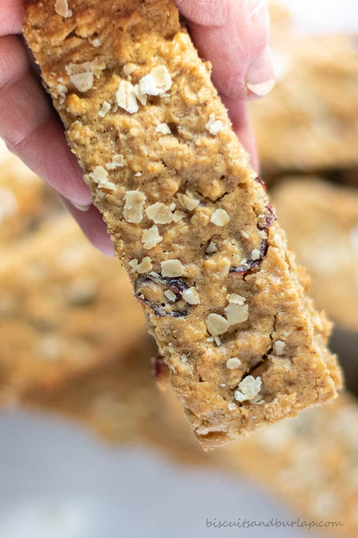 Breakfast Bar Recipe with Peanut Butter