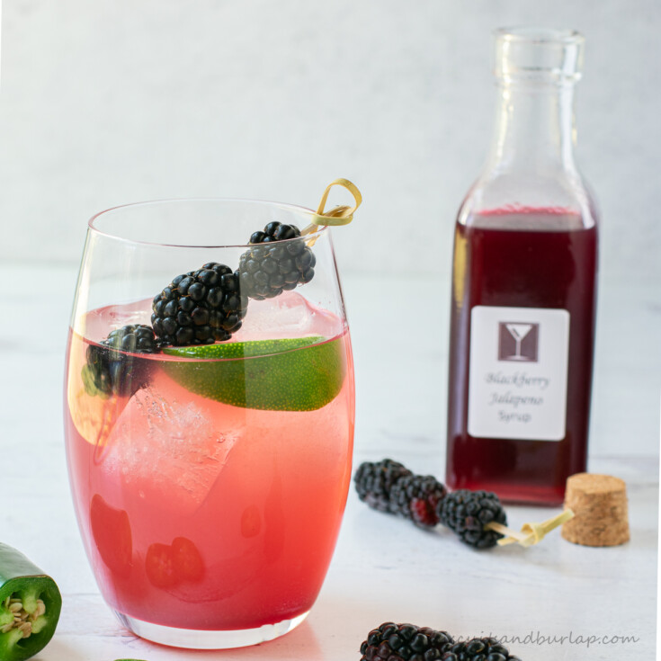 Fruit Syrups for Cocktails Made with Jam