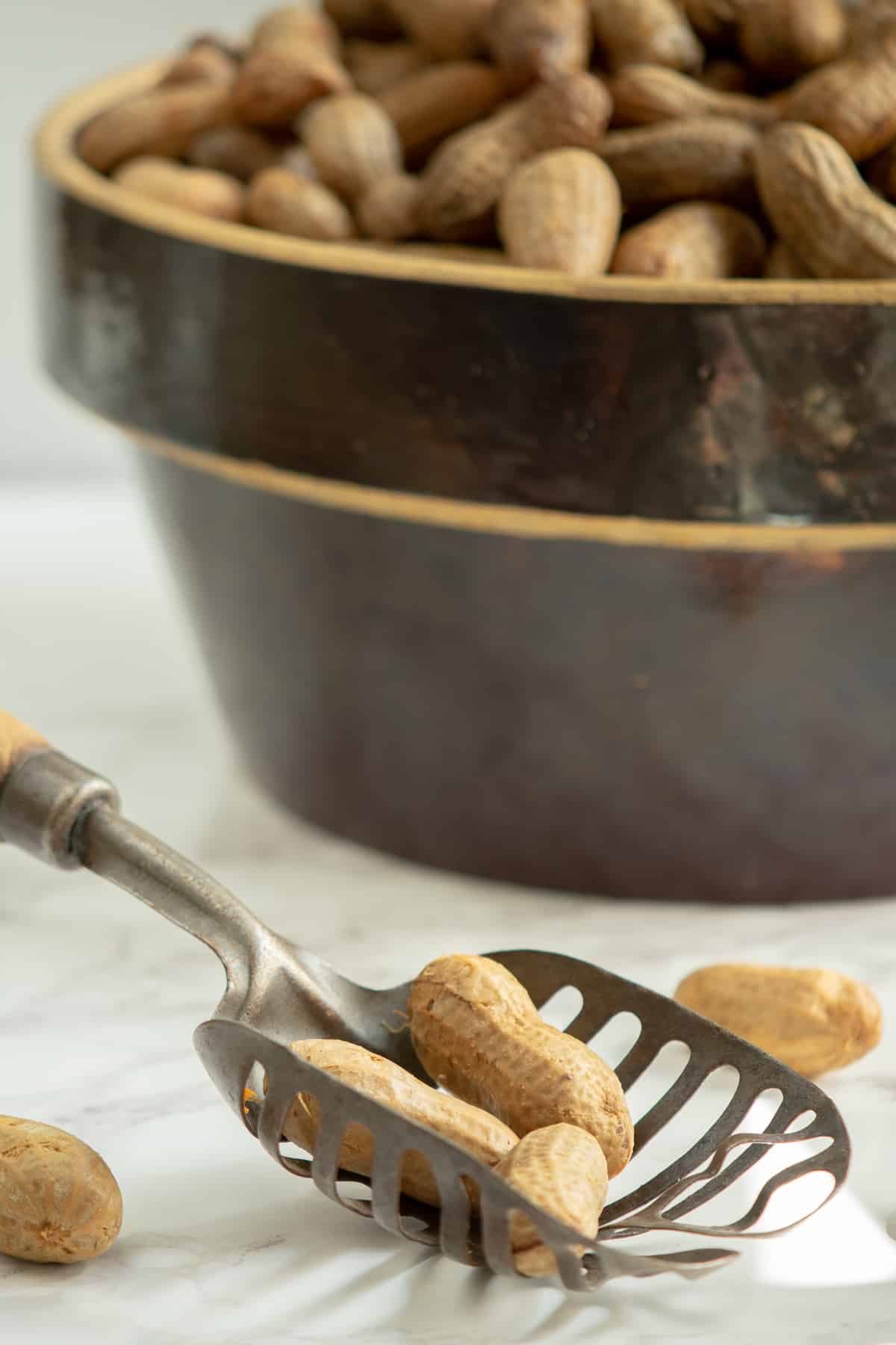 Cajun Boiled Peanuts in Crockpot + Video