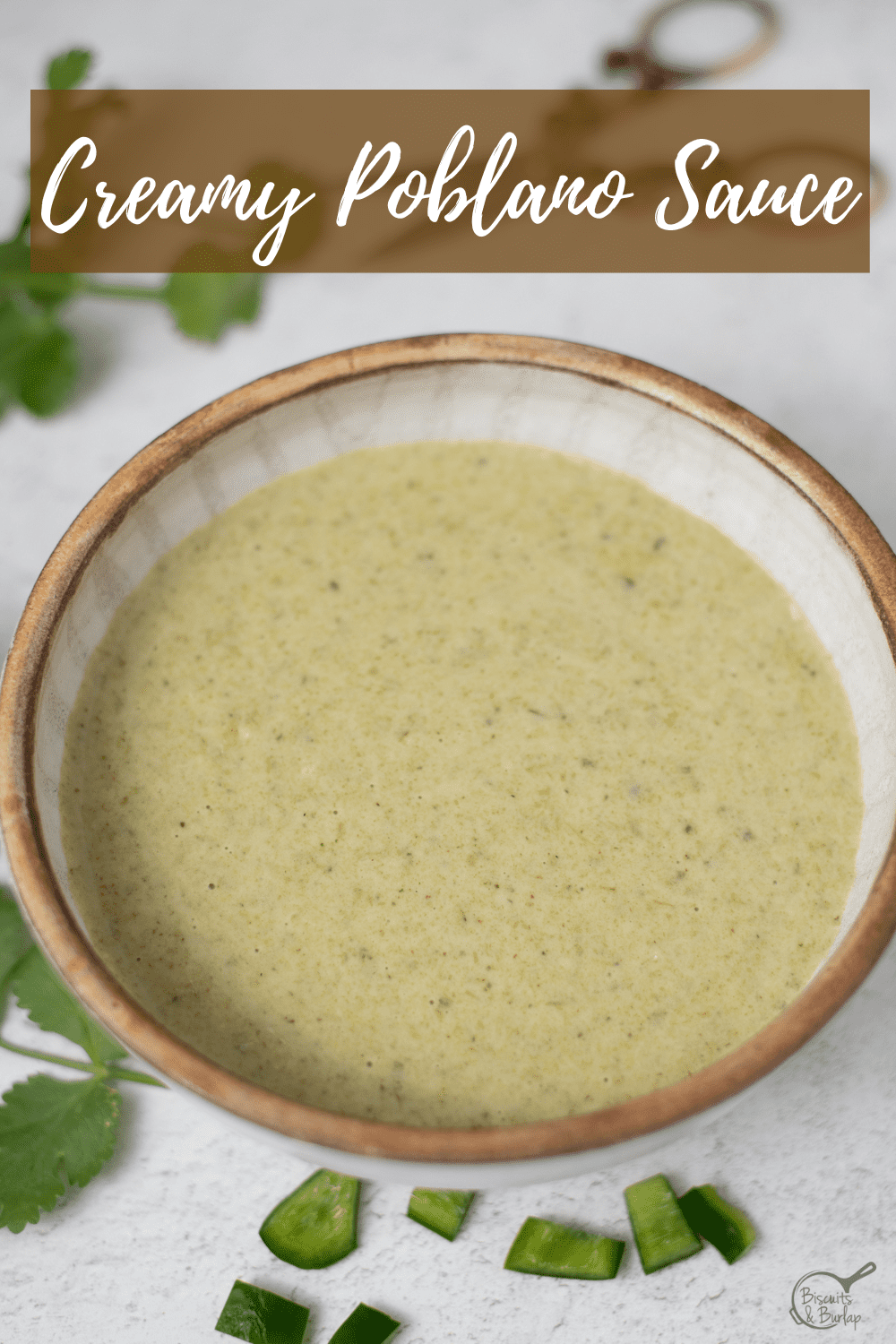 Creamy Poblano Sauce (served hot)