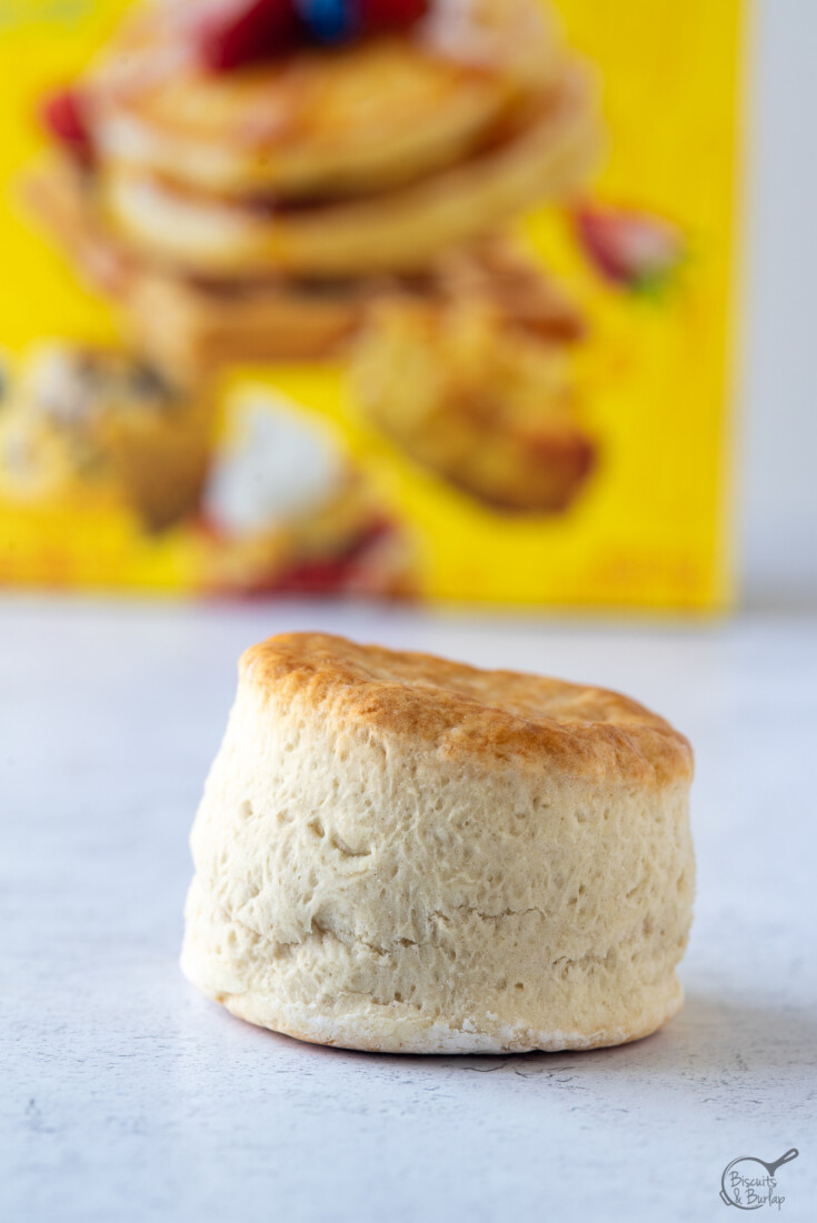 The Best Biscuit From a Mix