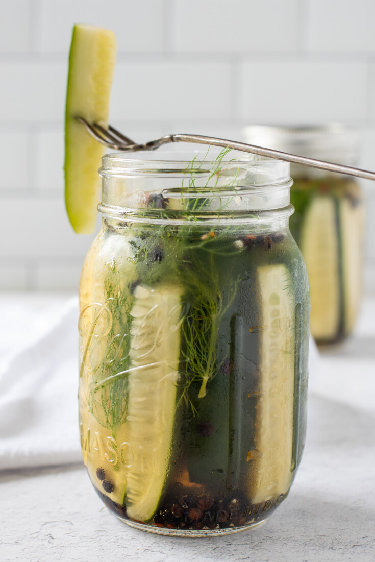 Quick Pickle Recipe